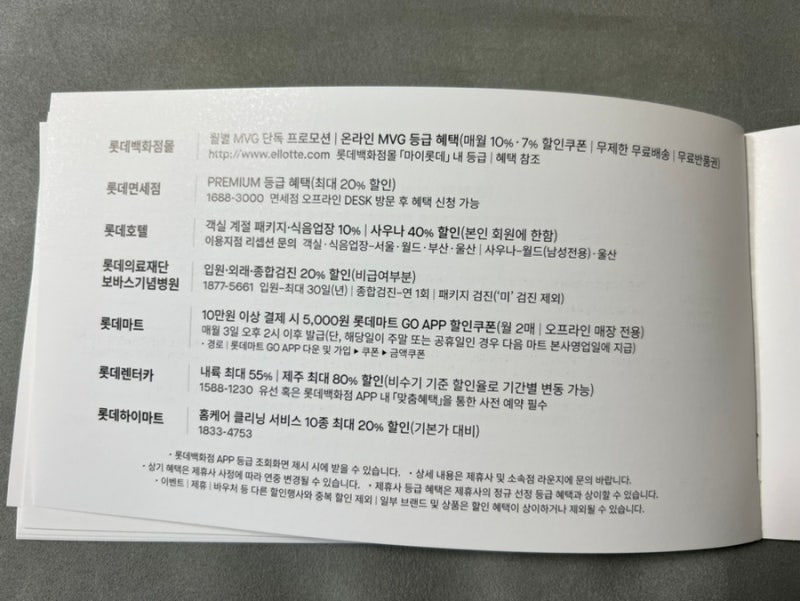 2023년 롯데백화점 Mvg 우수고객 등급 에비뉴엘 퍼플 네이버 블로그