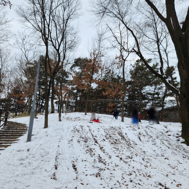 의왕왕송호수 겨울축제 왕송호수공원레솔레파크 무료 눈썰매장 겨울아 놀자 네이버 블로그