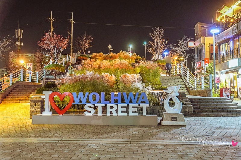 강릉 여행 1박2일 코스 중앙시장 월화거리 안목해변 해돋이 명소 네이버 블로그