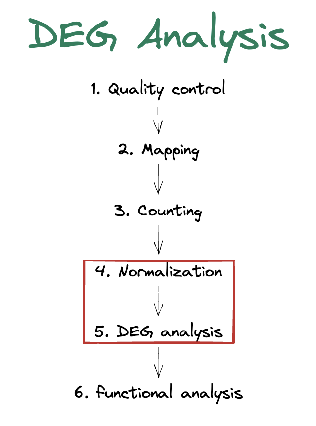 [Bioinformatics / RNA-Seq] DEG 분석 (Differentially Expressed Genes ...