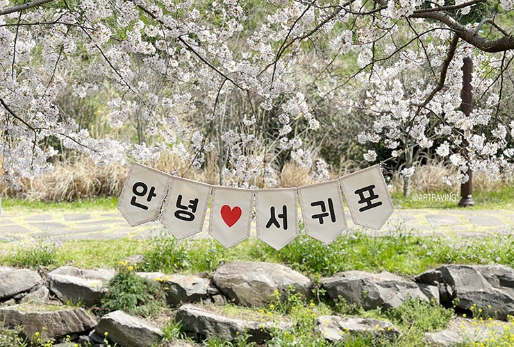 제주도 봄여행 서귀포벚꽃구경 대왕수천예래생태공원 벚꽃3월 28일 주차장 네이버 블로그