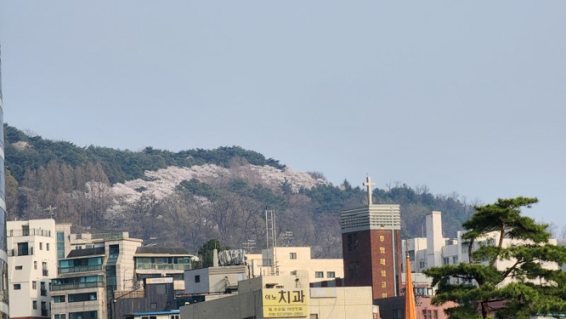 서울역 데이트 용산브런치 추천 빈스앤베리즈 카페 네이버 블로그