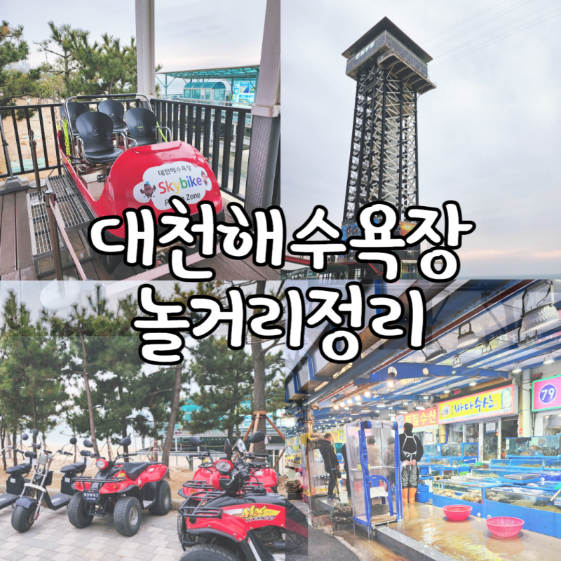 보령 여행 대천해수욕장 놀거리 코스 스카이바이크 짚라인 대천항 네이버 블로그