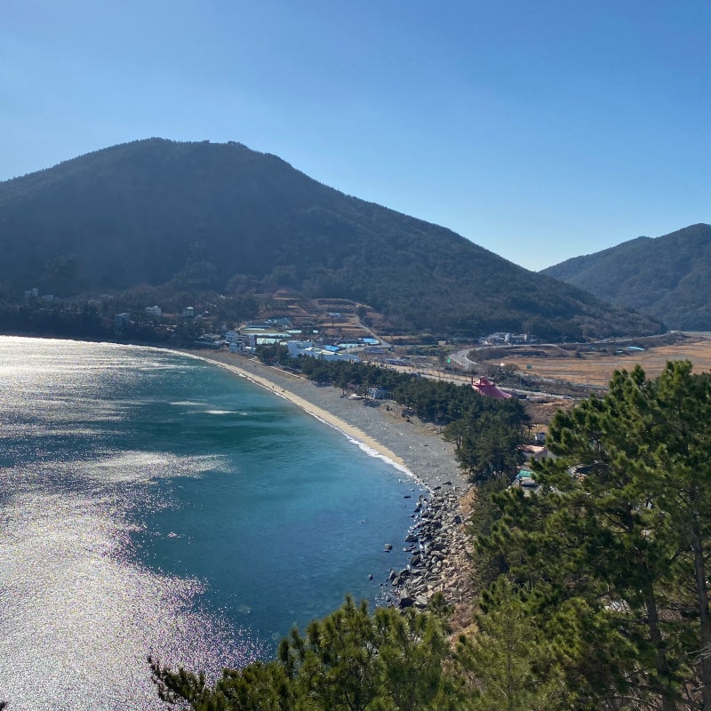 여수 돌산 카페 대형 오션뷰 핫플 카페 모이핀 Moifin 네이버 블로그