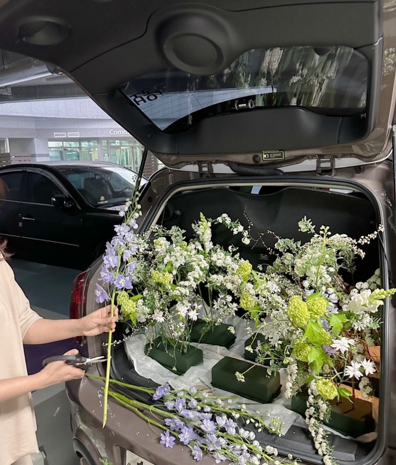 여자가 하는 셀프 트렁크 프로포즈 답프로포즈 화이트그린퍼플 And 준비물 And 미니쿠퍼 컨트리맨 네이버 블로그