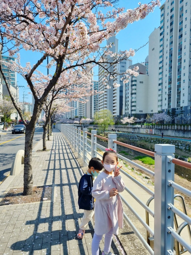 노원 아이랑 가볼 만한 곳 수학과 친해지기 노원 수학문화관 네이버 블로그