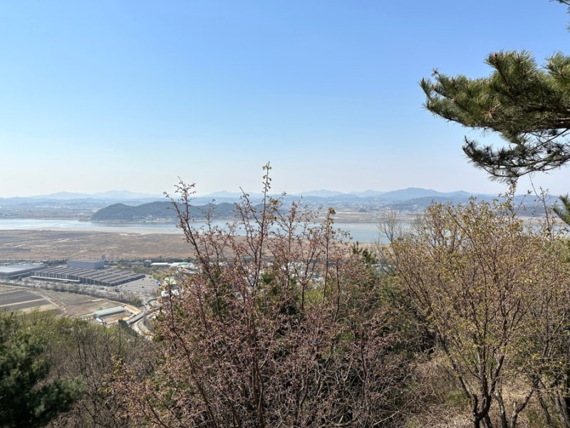 파주 등산 데이트 심학산 둘레길 등산코스 벚꽃 구경 네이버 블로그