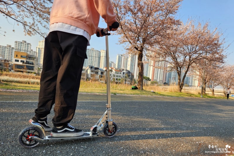 마이크로킥보드 스피드 어린이킥보드 두발 킥보드 추천 네이버 블로그