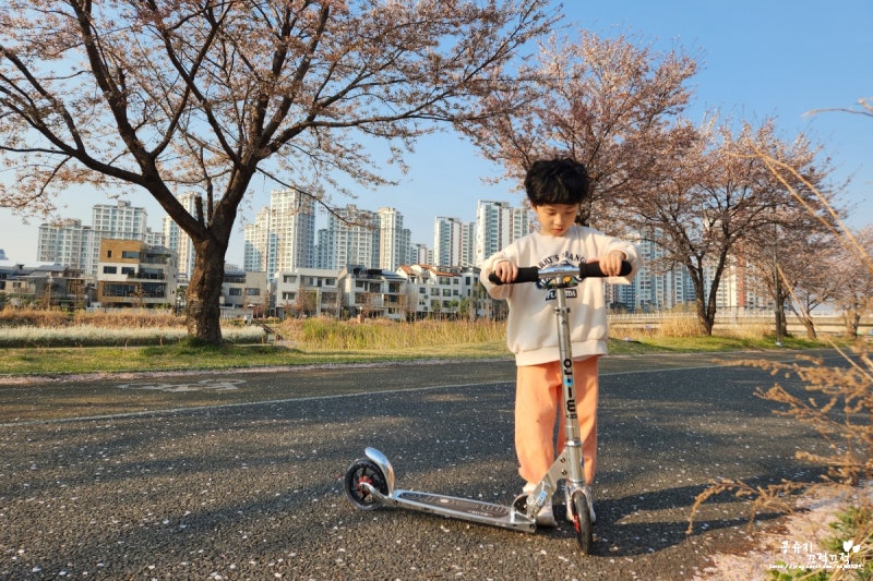 마이크로킥보드 스피드 어린이킥보드 두발 킥보드 추천 네이버 블로그