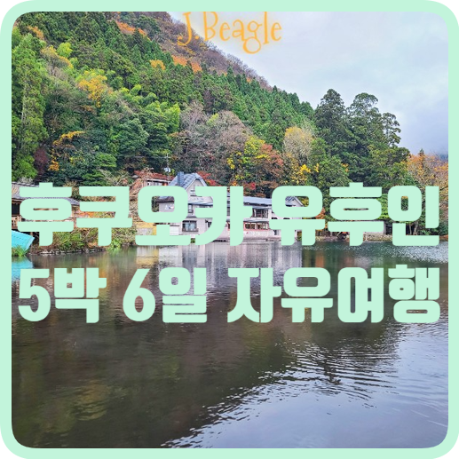 5박 6일 일본 후쿠오카 여행코스 유후인 가볼만한곳 긴린코 호수 플로랄빌리지 길거리 음식 야경 네이버 블로그