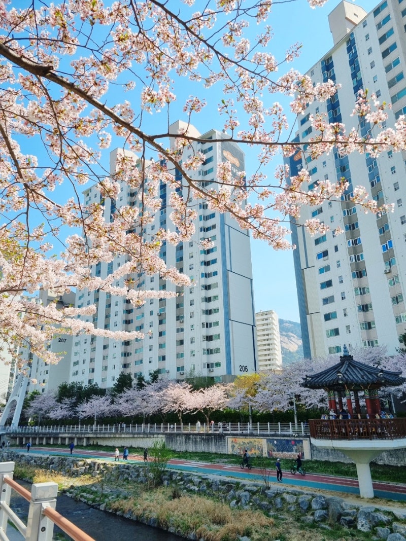 노원 아이랑 가볼 만한 곳 수학과 친해지기 노원 수학문화관 네이버 블로그