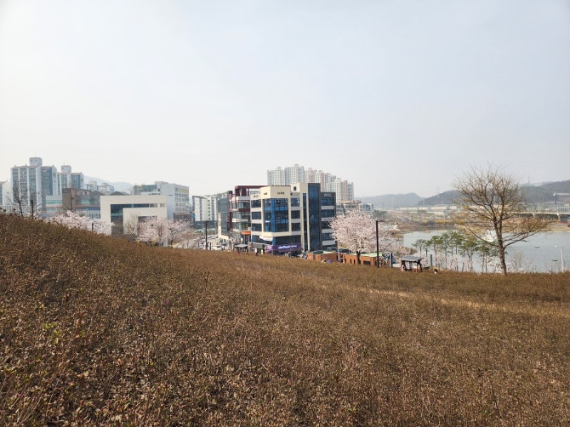 경기둘레길 54코스시흥연꽃테마파크~부천소사역 네이버 블로그