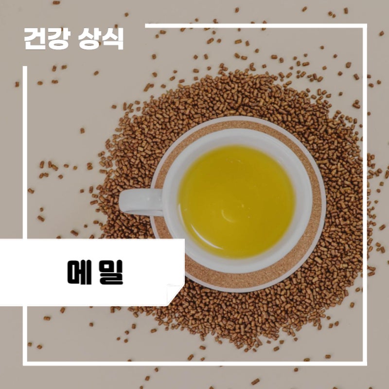 메밀차 효능 및 부작용 칼로리 카페인 물 대신 네이버 블로그