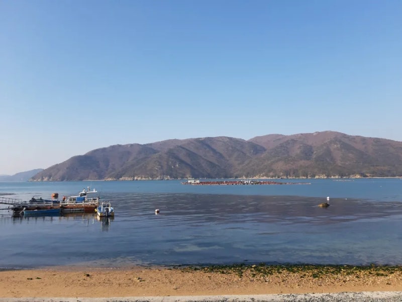 거제 근포땅굴 핫스팟 거제도 근포동굴 포토존 거제 가볼만한곳 근포마을 네이버 블로그