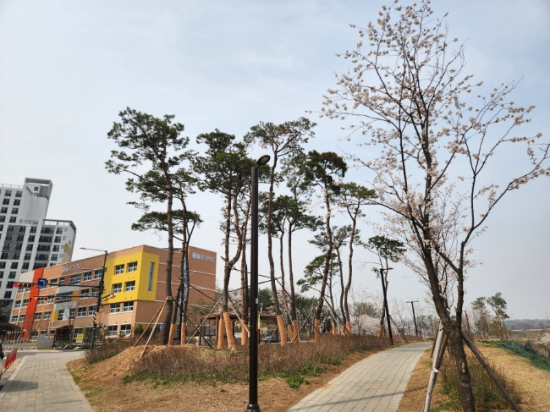 경기둘레길 54코스시흥연꽃테마파크~부천소사역 네이버 블로그