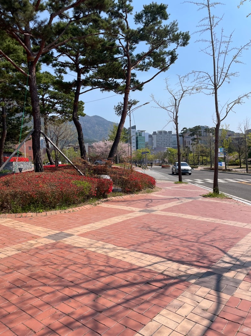 창원대 산애산구 와룡 산에서 막걸리와 파전 그리고 칼국수 네이버 블로그