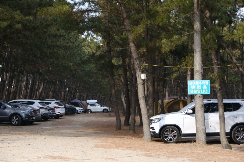 충남 태안반도 가볼만한곳 해루질 차박 가능한 운여해변 바다 앞 텐트촌 캠핑장 추천 후기 네이버 블로그