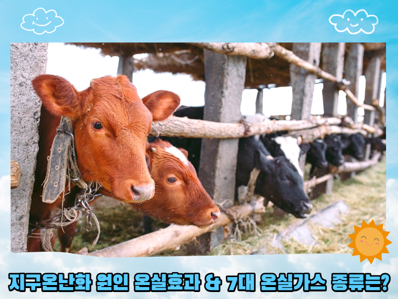 지구온난화 원인 온실효과 And 7대 온실가스 종류는 네이버 블로그