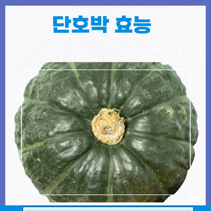 단호박 효능 칼로리 부작용 늙은호박 효능 네이버 블로그