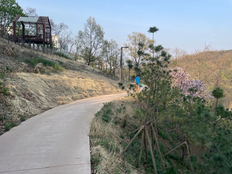 수원 영흥수목원 입장료 이용시간 주차요금 나무와 꽃들 많아지길 네이버 블로그