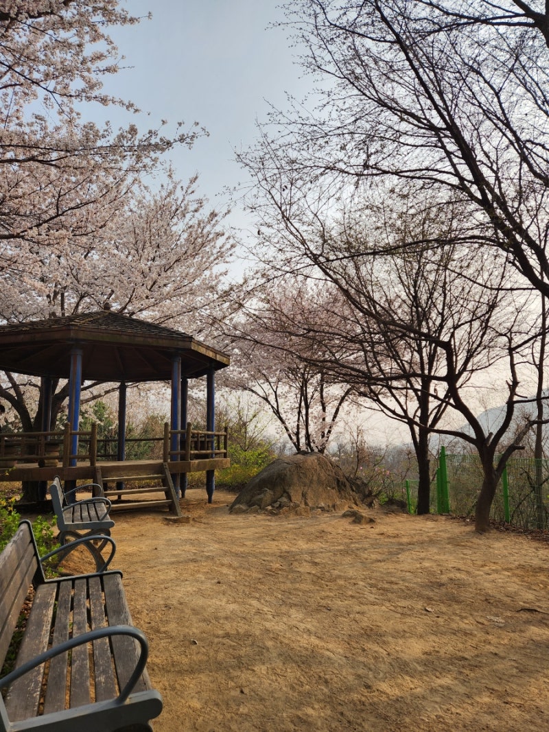경기둘레길 54코스시흥연꽃테마파크~부천소사역 네이버 블로그