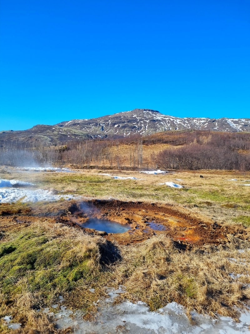 3월 아이슬란드🇮🇸 레이캬비크 게이시르 투어 게이시르 편의시설 아이슬란드 말 구경 네이버 블로그
