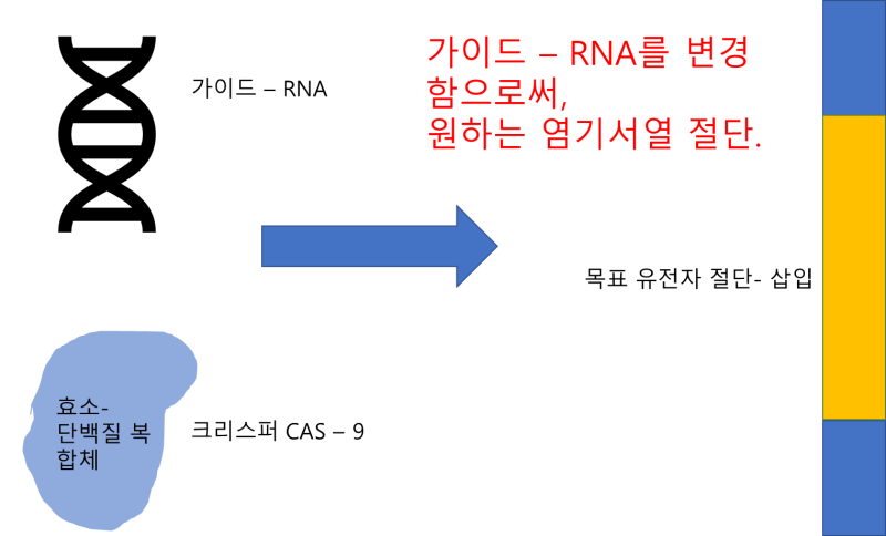 생명공학 세특 주제탐구 유전자가위 Crispr 편 네이버 블로그