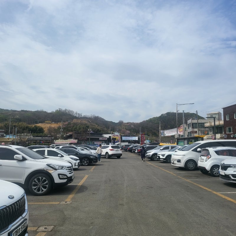 백종원 예산시장 재개장 장터광장 예약 주차 팁 네이버 블로그