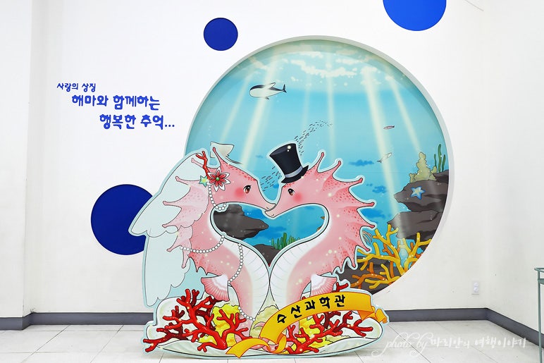 부산 아이와 가볼만한곳 기장 부산 국립 수산과학원 수산과학관 네이버 블로그