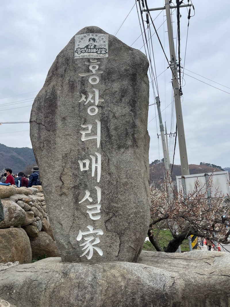 전남 등산 광양 쫓비산 등산코스 소요시간 최단코스 네이버 블로그