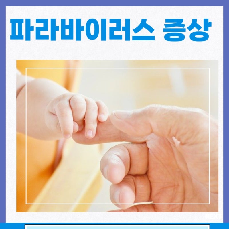 파라바이러스 증상 원인 치료 예방 파라인플루엔자 Rs바이러스 네이버 블로그