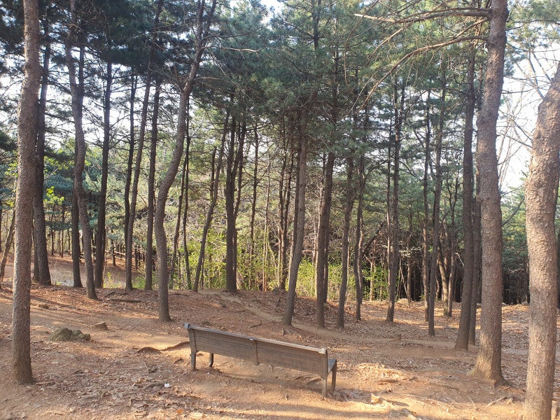 소멸시효 이익 포기 시효중단 정확히 알자 네이버 블로그
