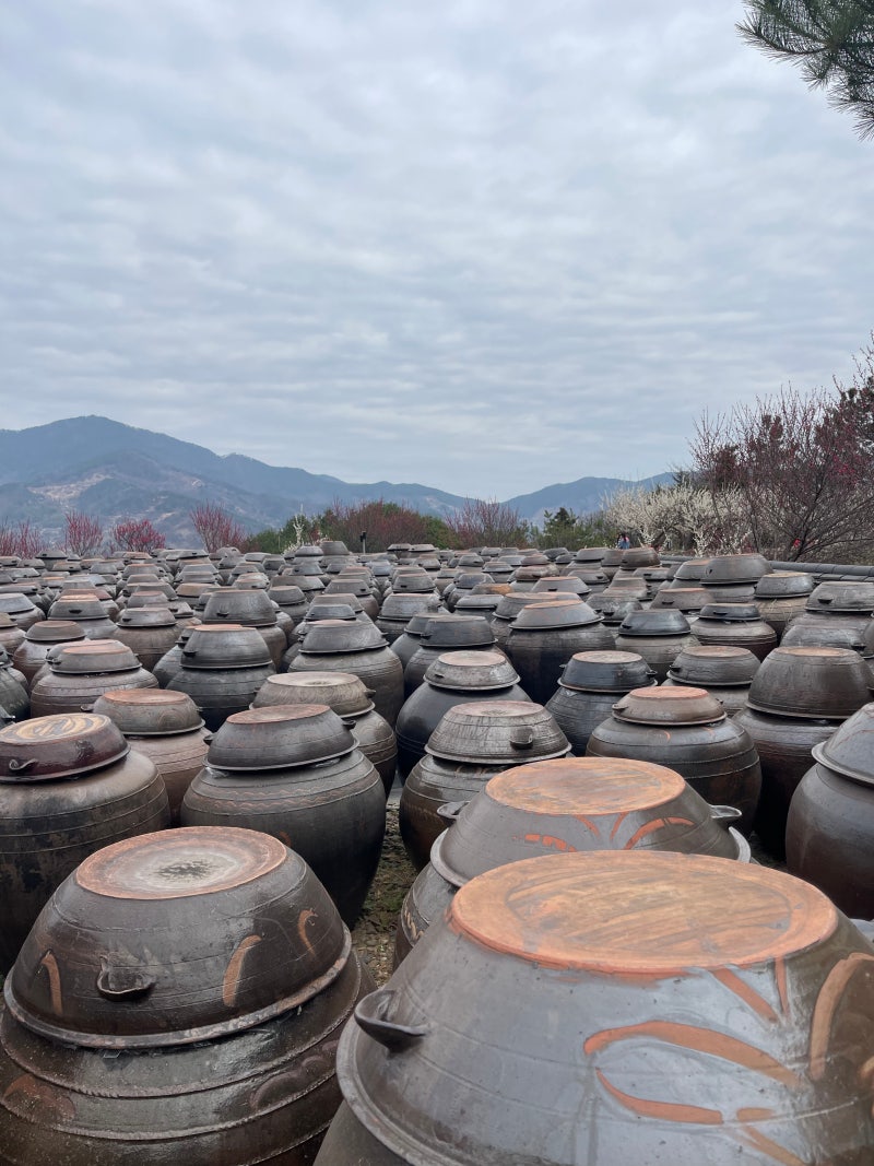 전남 등산 광양 쫓비산 등산코스 소요시간 최단코스 네이버 블로그