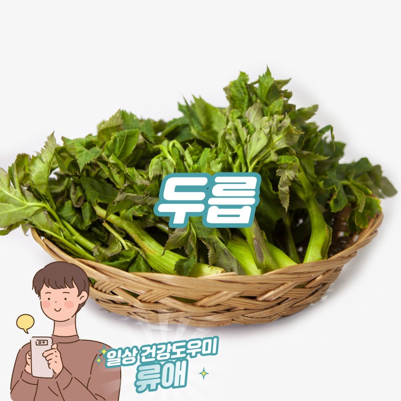 두릅 효능 및 영양 성분 부작용 땅두릅 참두릅 개두릅 나무두릅 네이버 블로그