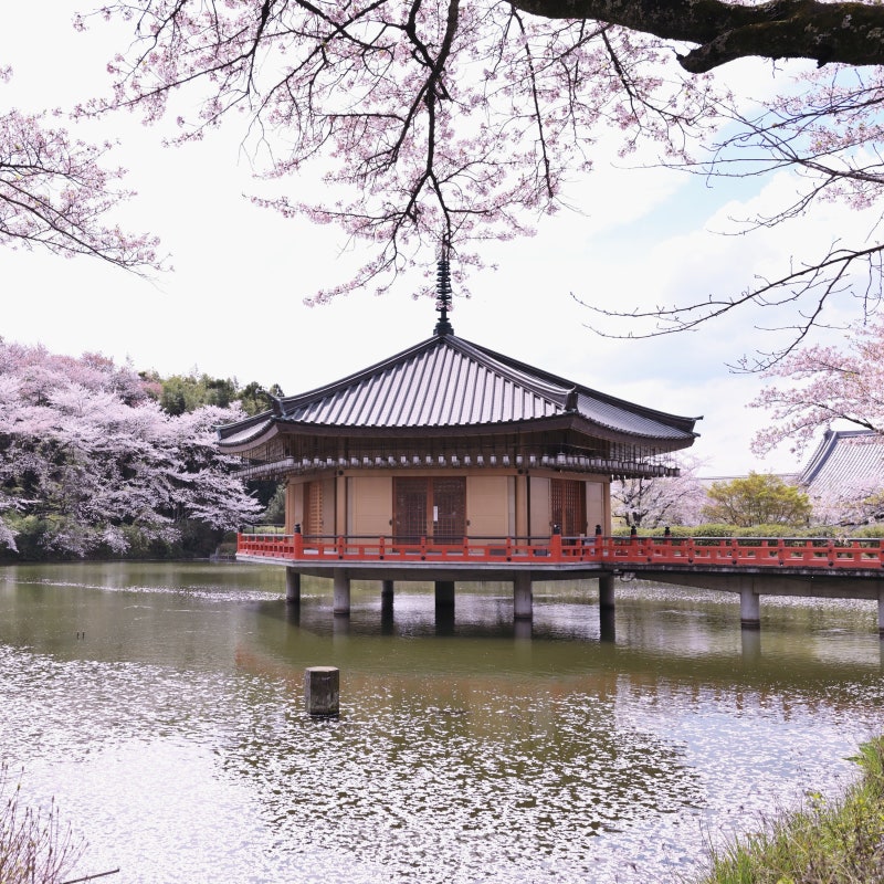 일본어 자격증 종류 (JLPT JPT SJPT BJT EJU 등 11가지 / 일본어 시험) : 네이버 블로그