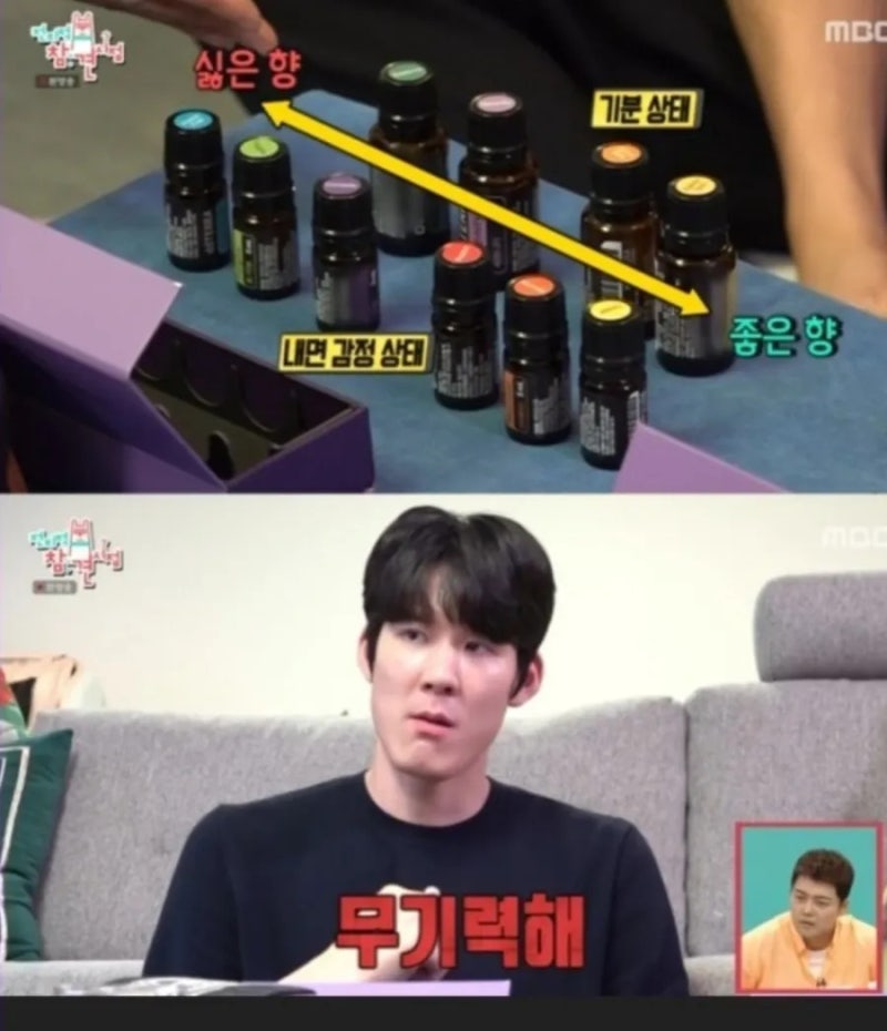 도테라 아로마오일로 나의 감정 알아보기도테라 감정오일 감정테스트 네이버 블로그