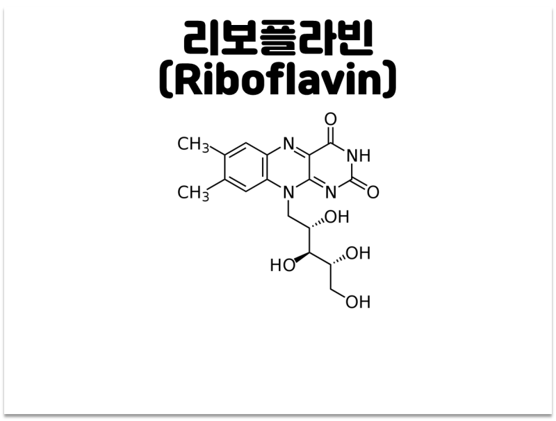 젠빅플러스 젠빅 마그네슘 눈떨림 손발저림 다리 쥐 신경통 근육통 육체피로 성분 효능 효과 복용법 부작용 가격 주의사항 연질캡슐