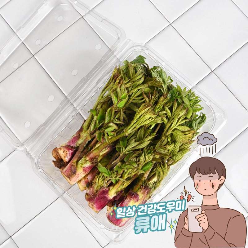 두릅 효능 및 영양 성분 부작용 땅두릅 참두릅 개두릅 나무두릅 네이버 블로그