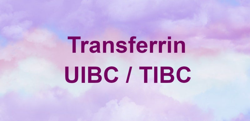 anemia study 빈혈검사에 대해 알아보자. reticulocyte, iron, TIBC, UIBC, ferritin ...