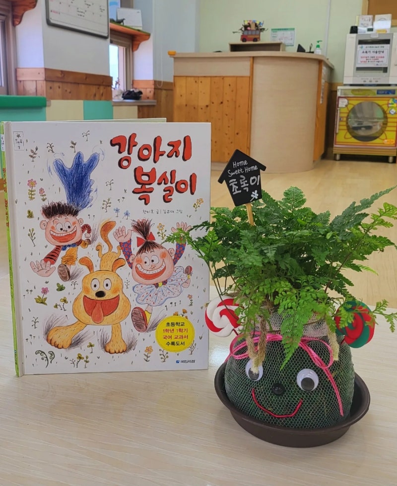 강아지복실이교과연계수업그림책원예수업경기분당그림책원예수업반려식물토피어리후마타고사리 네이버 블로그