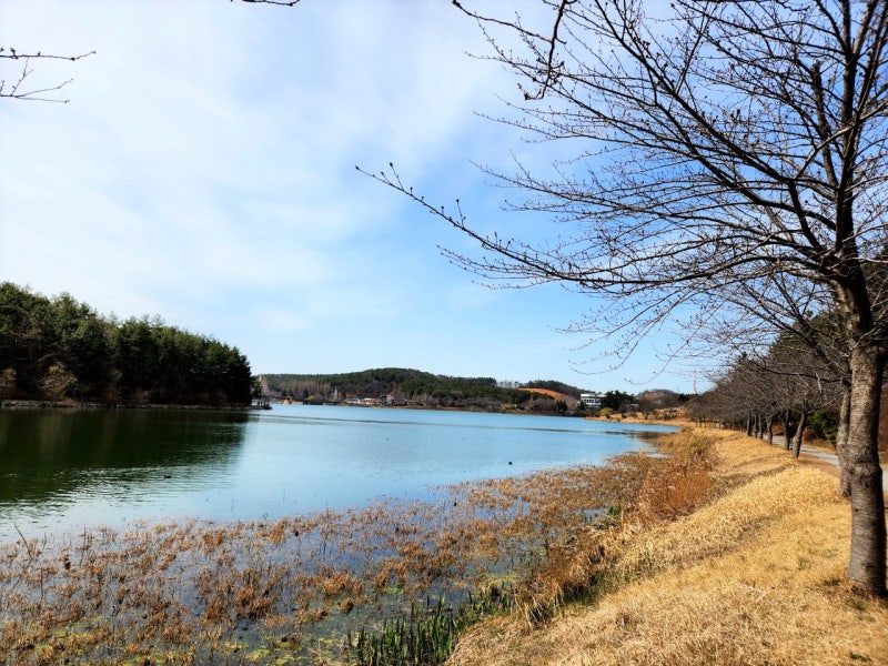 당일치기 군산여행~ 은파호수공원 근대역사박물관근대미술관 이성당 신흥동일본식가옥초원사진관동국사 경암동 철길마을~하루로