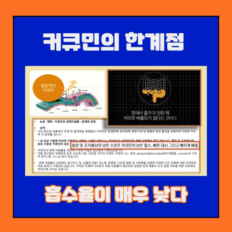 강황환 효능 및 울금 차이점 정리 가루 먹는 방법은 네이버 블로그