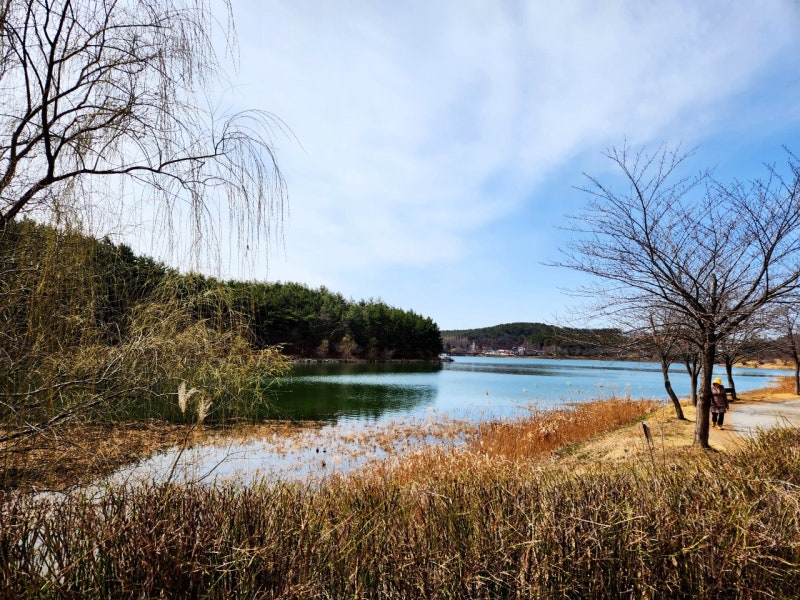 당일치기 군산여행~ 은파호수공원 근대역사박물관근대미술관 이성당 신흥동일본식가옥초원사진관동국사 경암동 철길마을~하루로