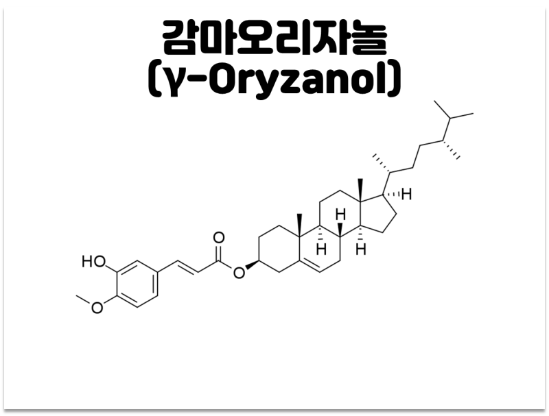 젠빅플러스 젠빅 마그네슘 눈떨림 손발저림 다리 쥐 신경통 근육통 육체피로 성분 효능 효과 복용법 부작용 가격 주의사항 연질캡슐
