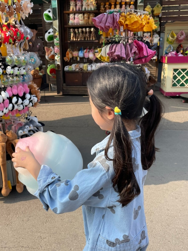 귀차니즘이 알려주는 에버랜드 최소한의 이용팁 👧🏻👶🏻 : 네이버 블로그