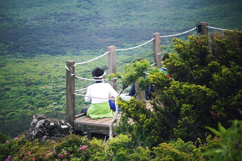 제주도 한라산 등반코스 및 윗세오름 ft. 제주 한라산 국립공원 영실코스/등산코스/준비물/드라이브 : 네이버 블로그
