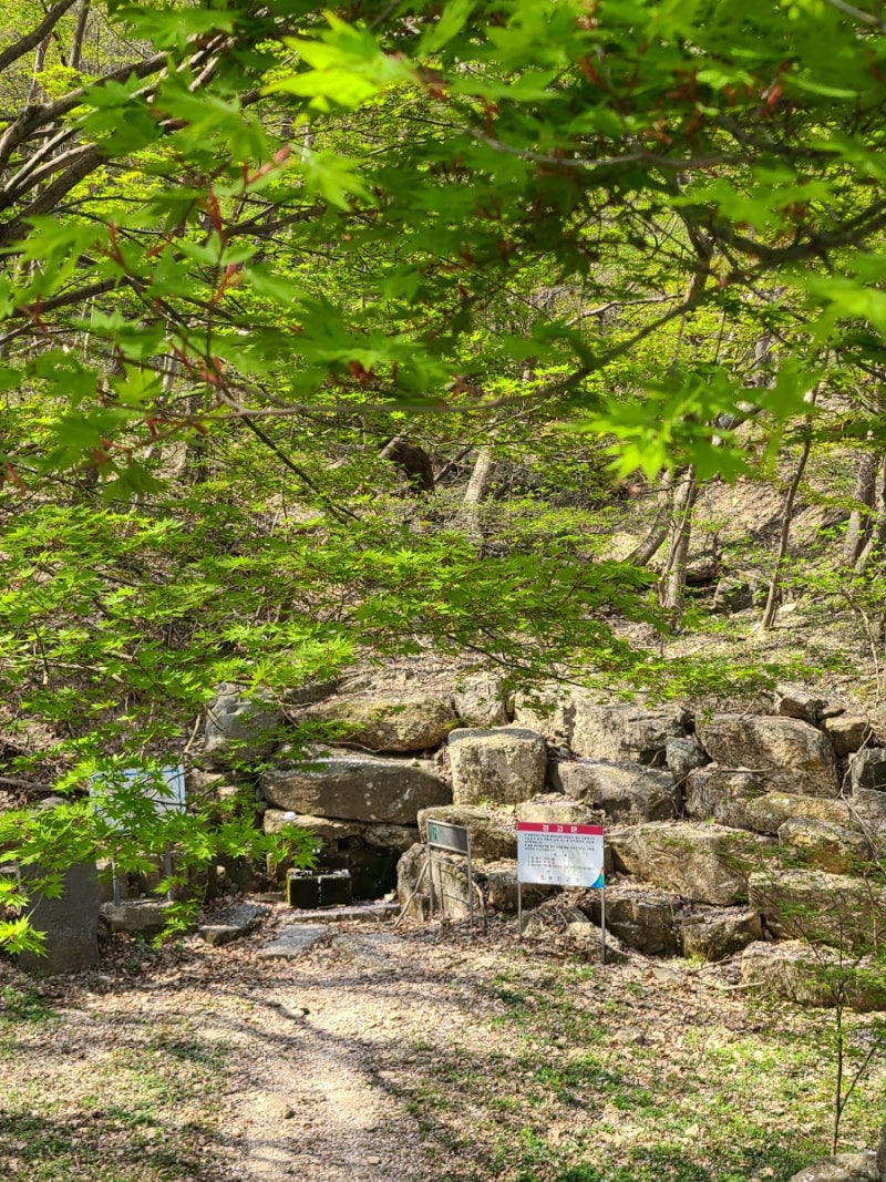 부안 내변산 상서분소 주변 임도 산책하기개암사 주차장~월정약수~원점 네이버 블로그