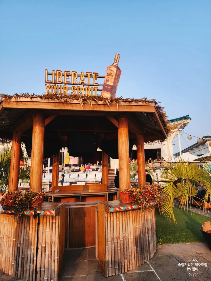 제주도 중문 가볼만한곳 중문관광단지 제주 더클리프 카페 네이버 블로그