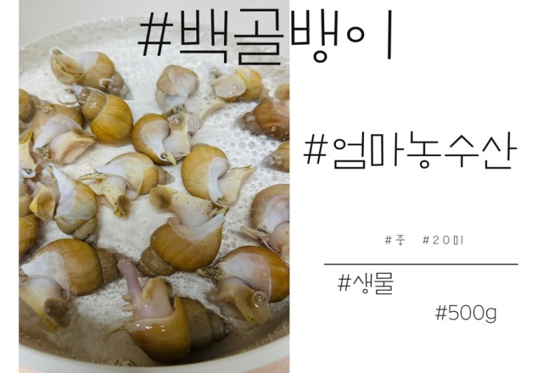 캠핑요리 술안주로 좋은 백골뱅이 어묵탕 네이버 블로그