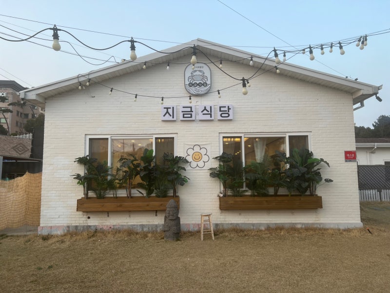 을왕리맛집 푸짐한 모듬해물장 And 간장게장 아이와 함께 영종도 지금식당 네이버 블로그